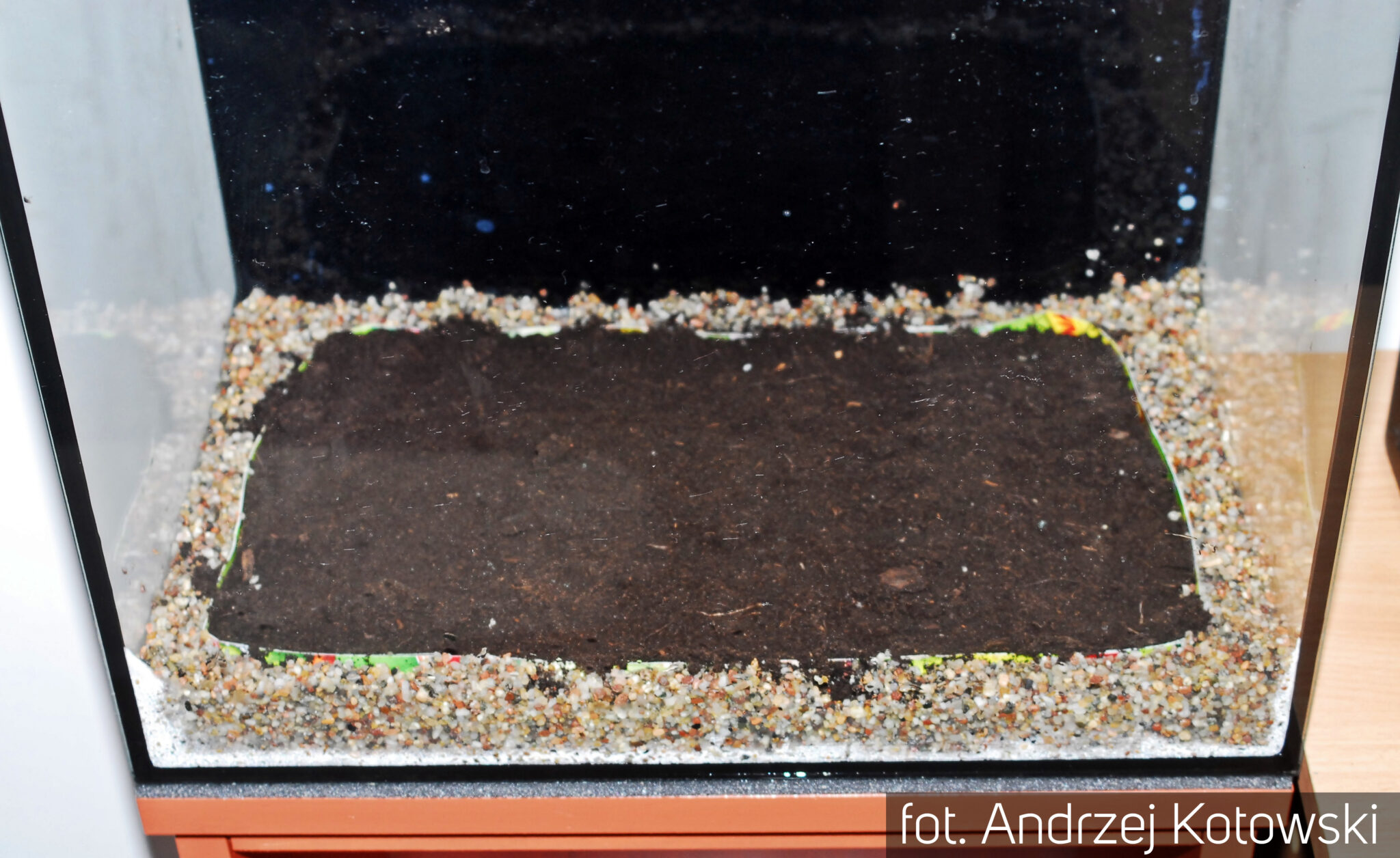 Akwarium na ziemi ogrodowej - Trzmiel RadziTrzmiel Radzi