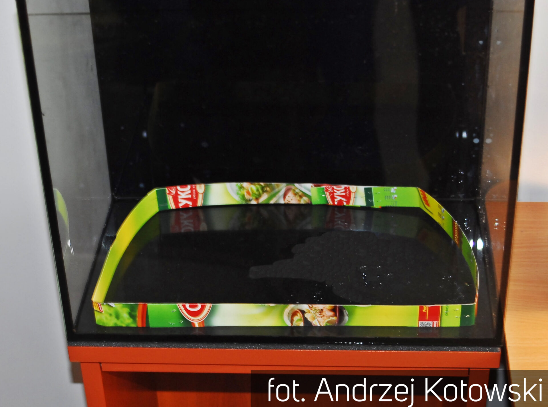 Akwarium na ziemi ogrodowej - Trzmiel RadziTrzmiel Radzi