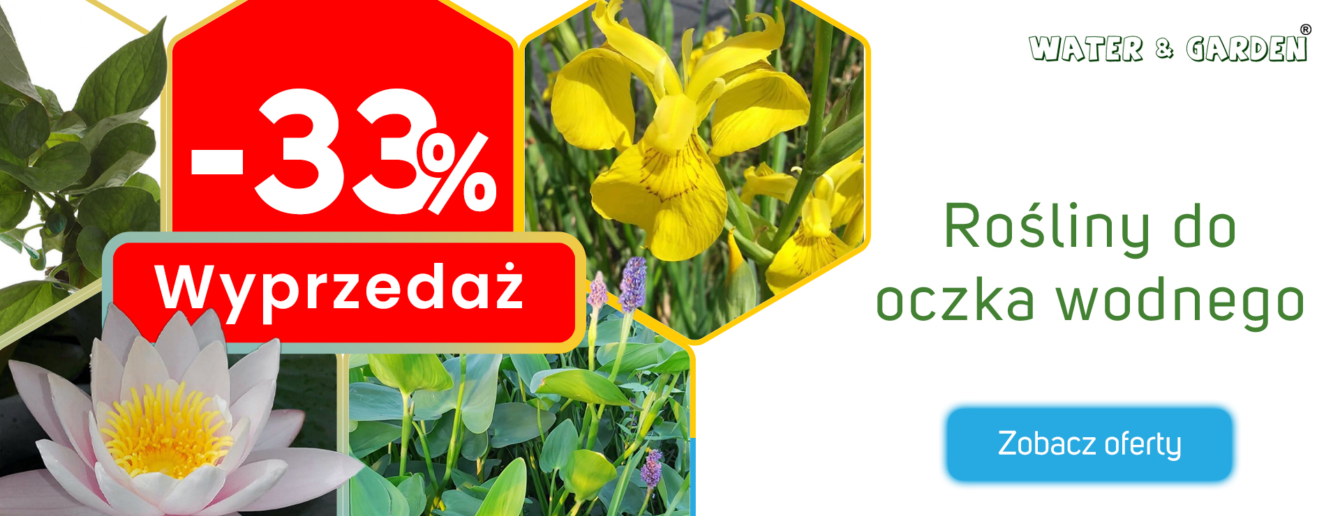 Karliki szponiaste - Trzmiel Radzi