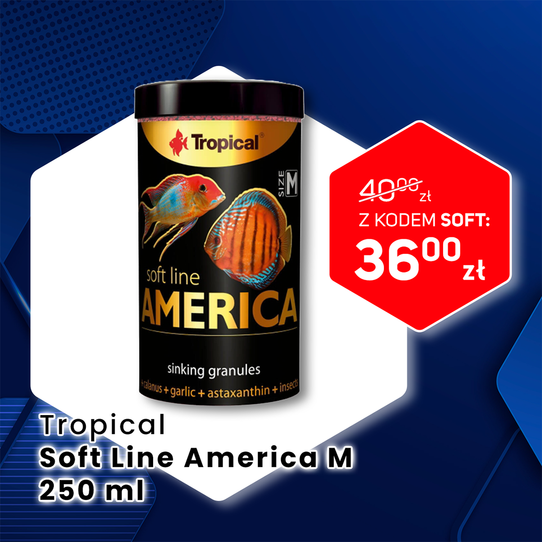 Pokarmy Tropical Soft Line - Trzmiel RadziTrzmiel Radzi