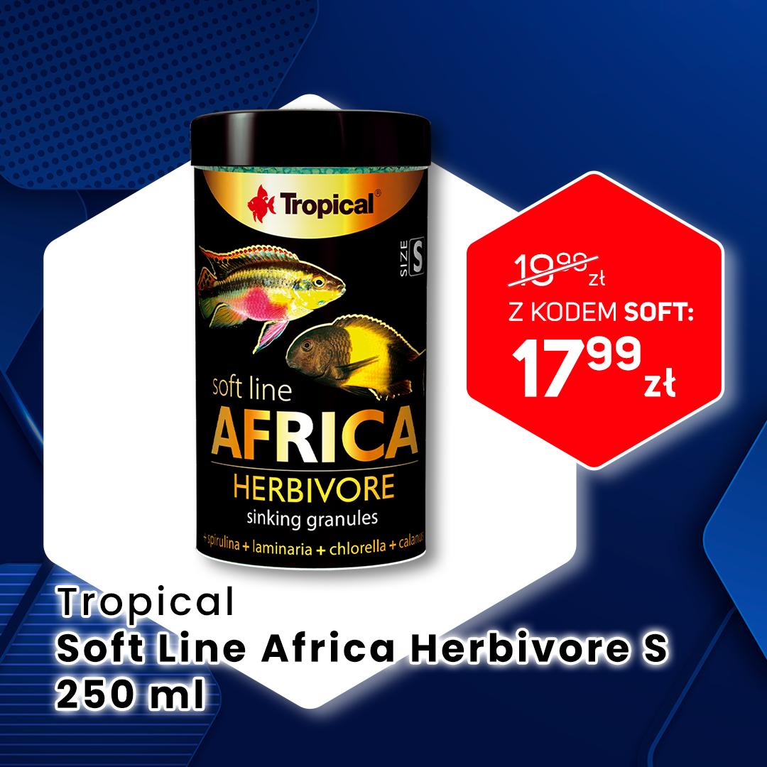 Pokarmy Tropical Soft Line - Trzmiel RadziTrzmiel Radzi