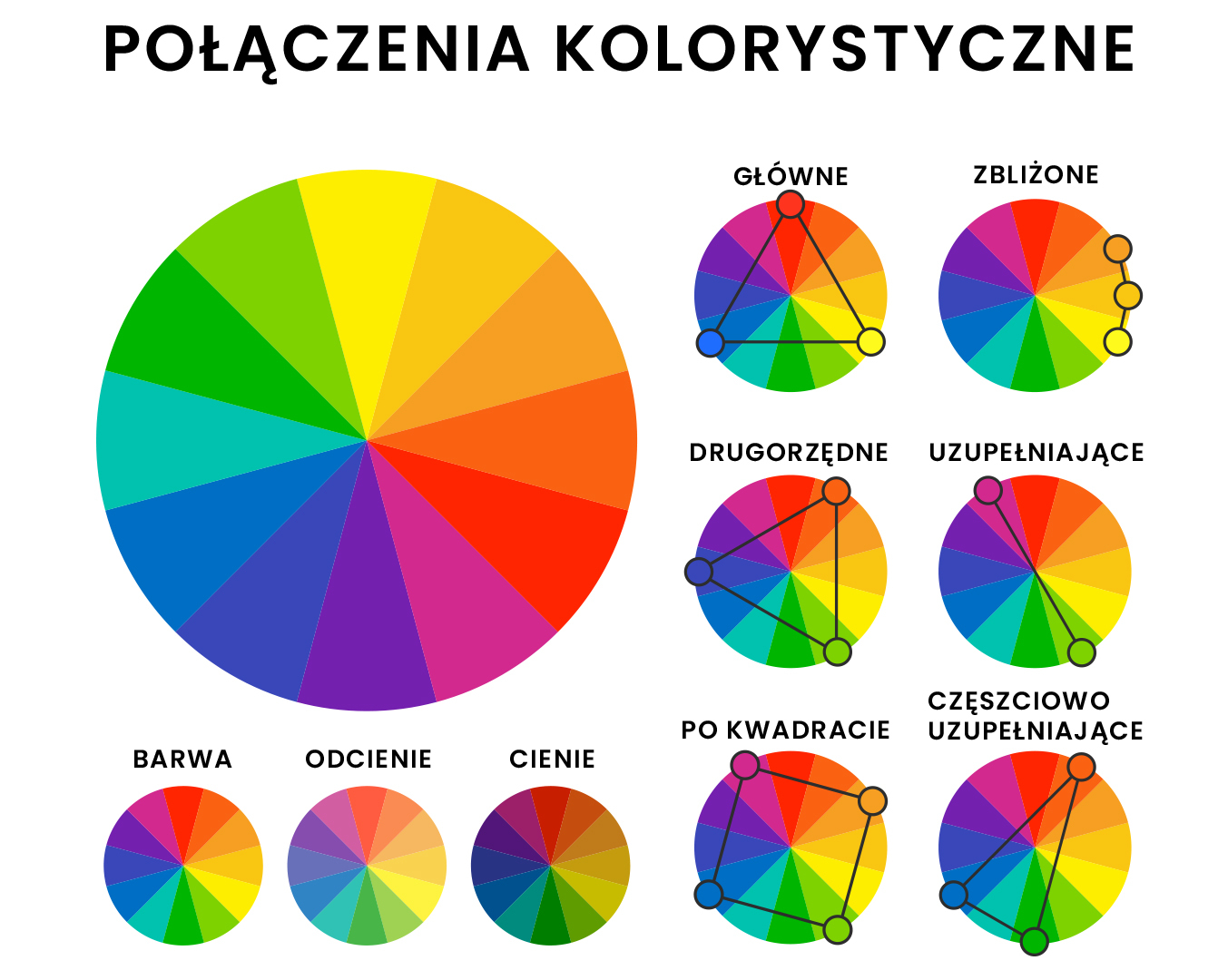Aquascaping w akwarystyce morskiej - Trzmiel RadziTrzmiel Radzi