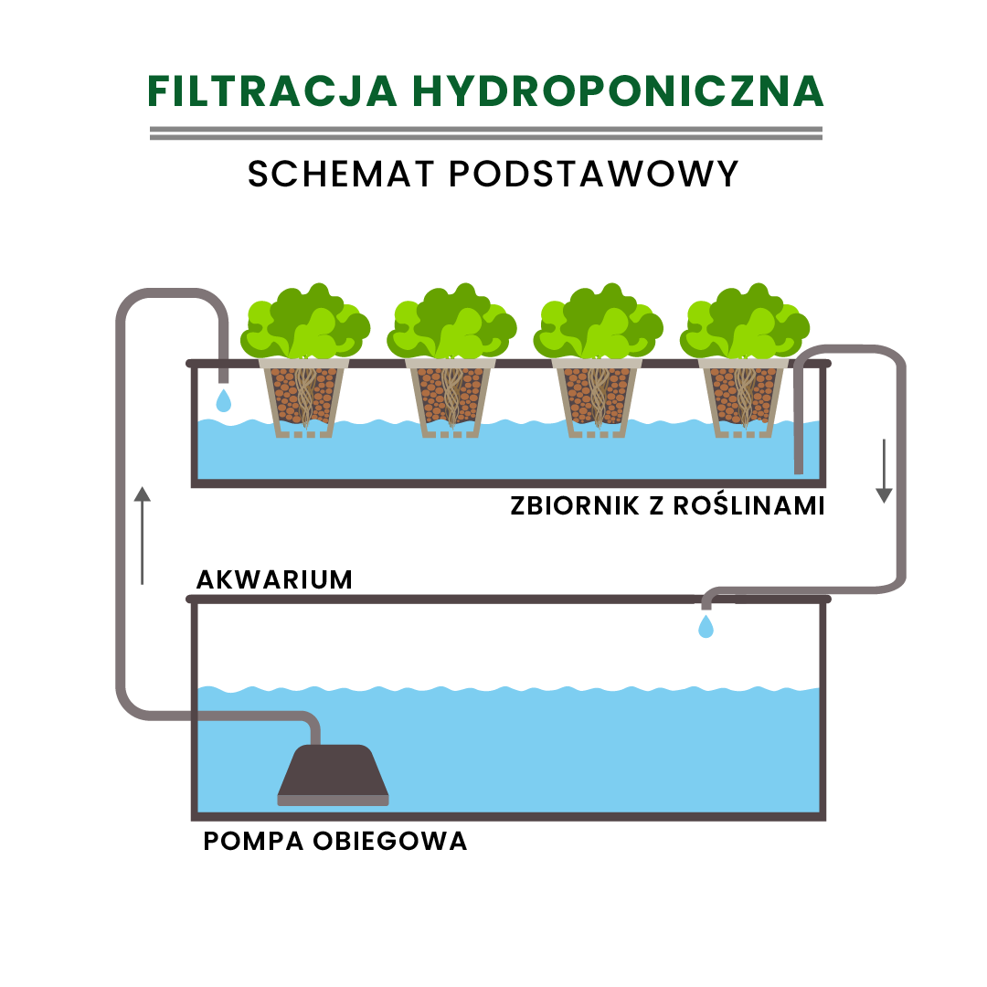 Budowa i zasada działania filtra hydroponicznego - Trzmiel RadziTrzmiel ...
