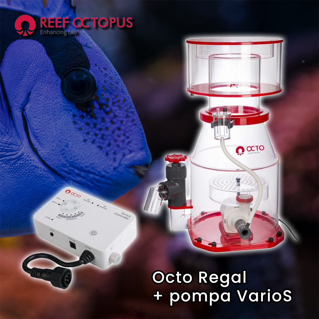 Reef Octopus - sprawdzony sprzęt do akwarystyki morskiej - Trzmiel ...