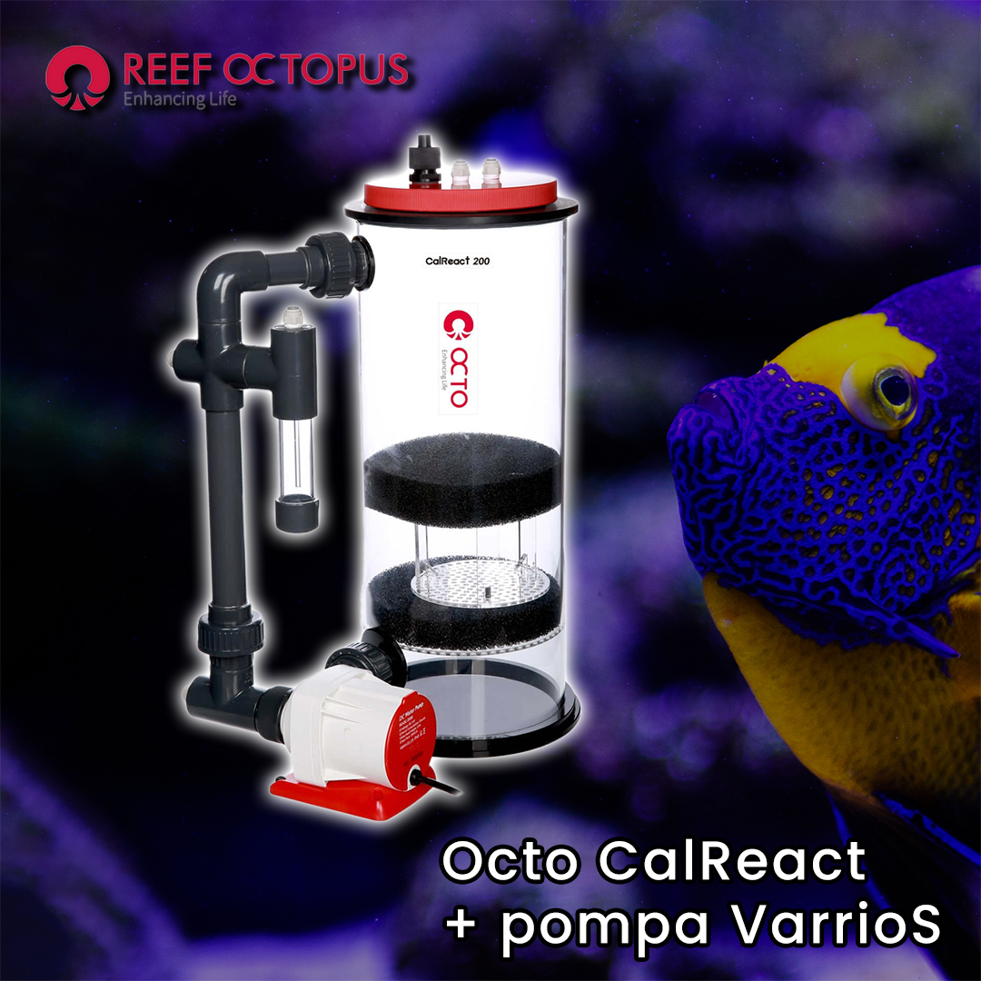 Reef Octopus - sprawdzony sprzęt do akwarystyki morskiej - Trzmiel ...