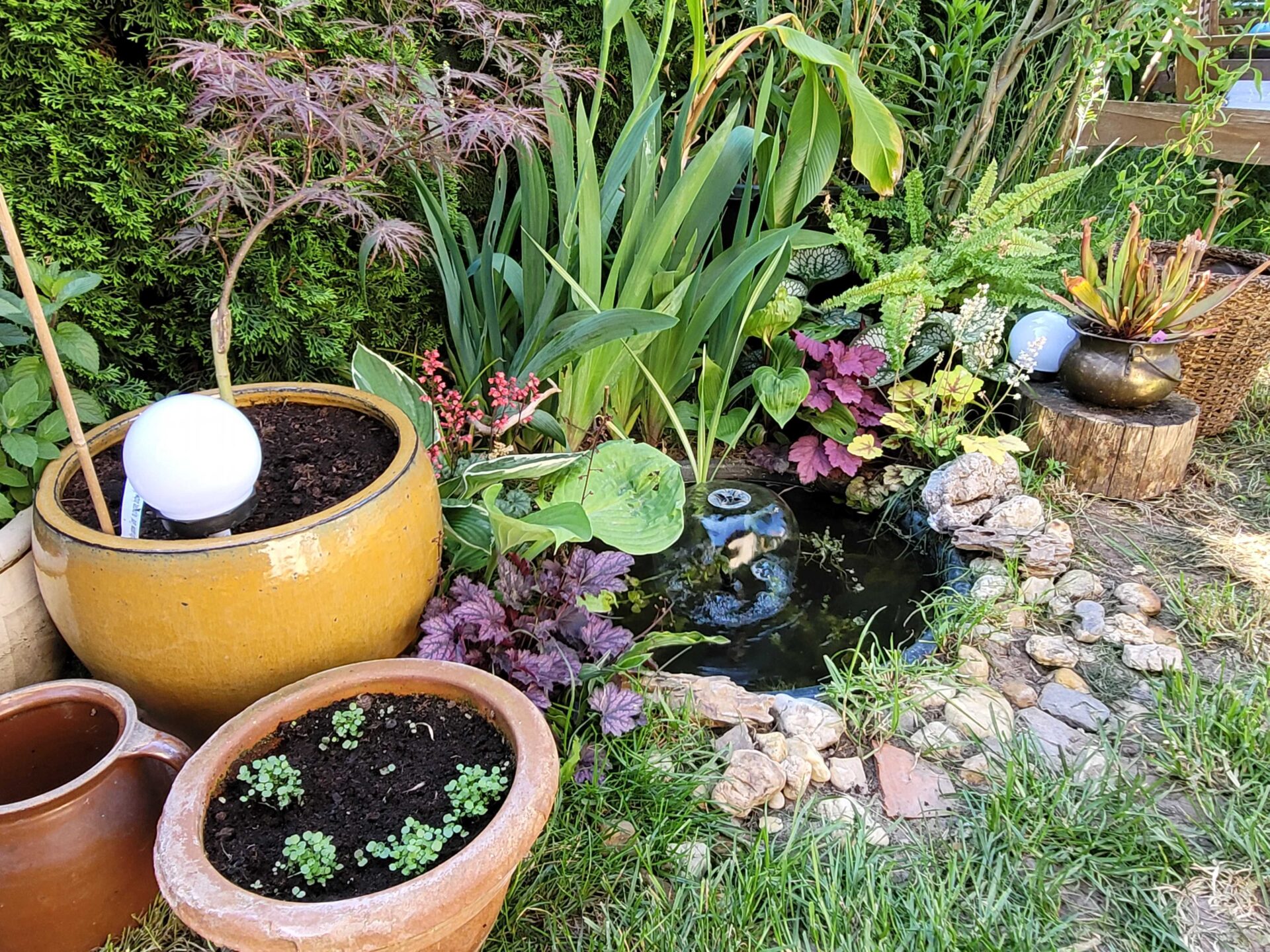 Jak zbudować oczko wodne w ogrodzie - Trzmiel RadziTrzmiel Radzi